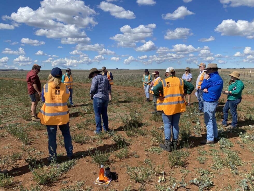 Smart Soils hits the heights - Soil Science Australia