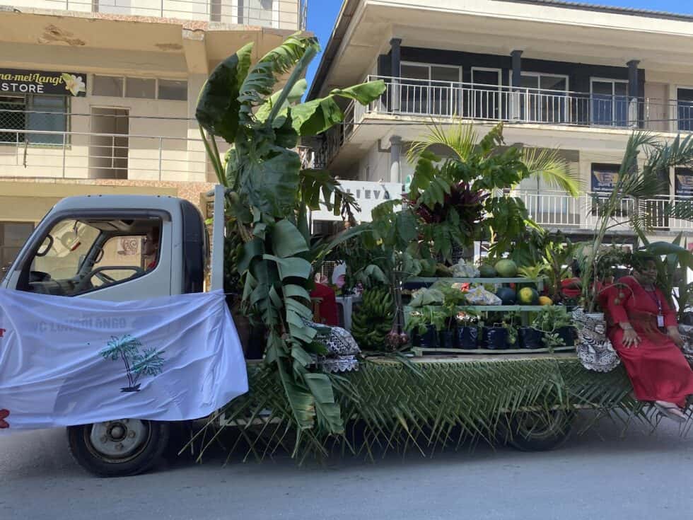 Soils Take Centre Stage at the Pacific Week of Agriculture - Soil ...