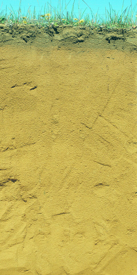 State Soils - Soil Science Australia