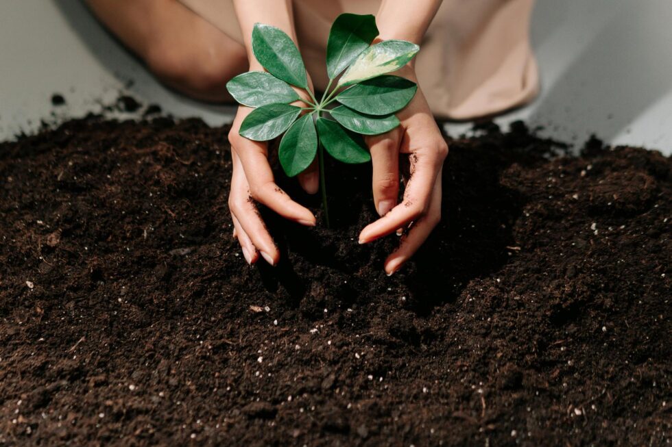 Soil Science Australia